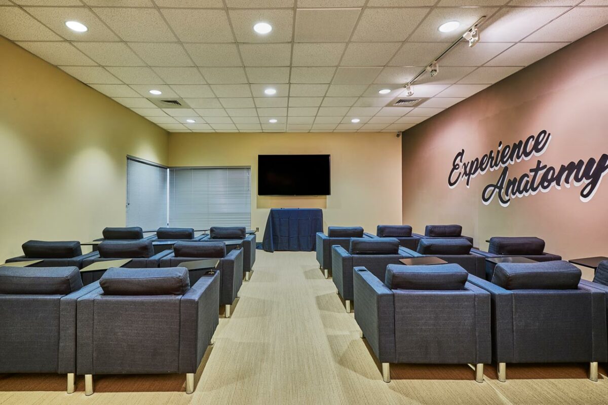 Our Partners » The Experience Anatomy Foundation