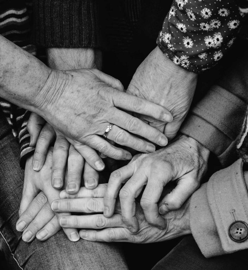 Experience Anatomy Foundation Donor Packet » The Experience Anatomy ...